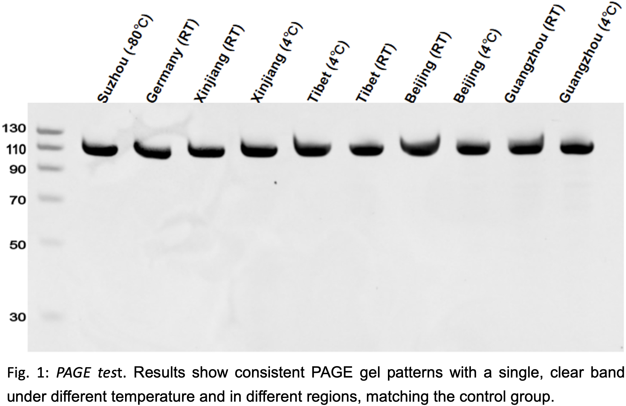 Stability Assessment of sgRNA in Gene Editing: Insights from Transport ...