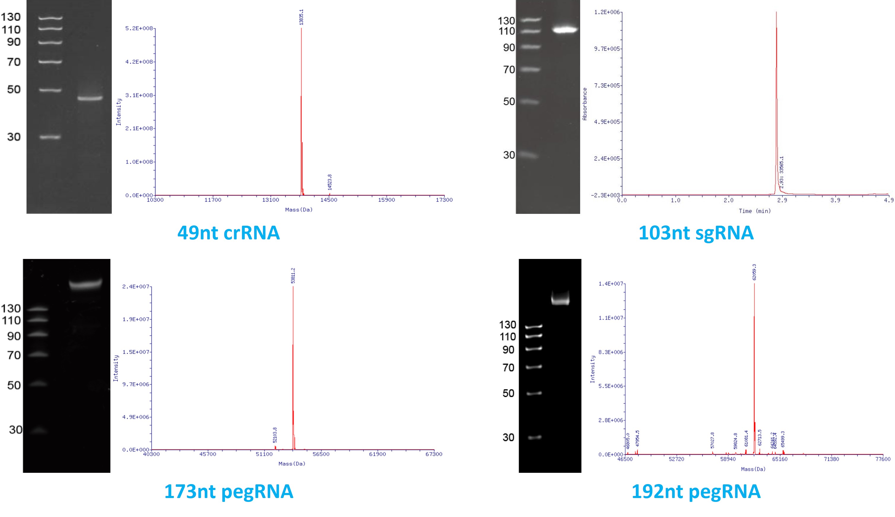 RNA - Product - PixelBiosciences GmbH